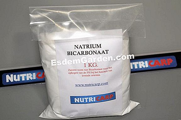 Nátrium-bikarbonát: tulajdonságok és felhasználások 🌿 Mindent A ...